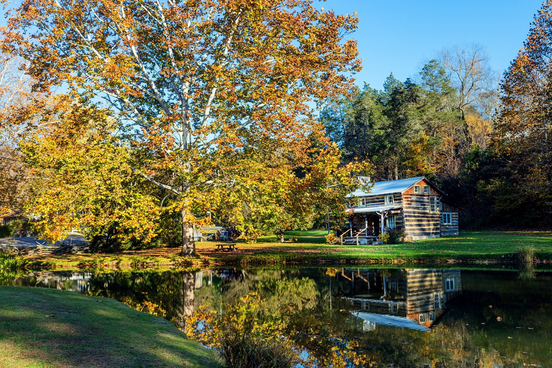 5 Fun Things to Do in Ashburn Virginia - Food Chain Magazine